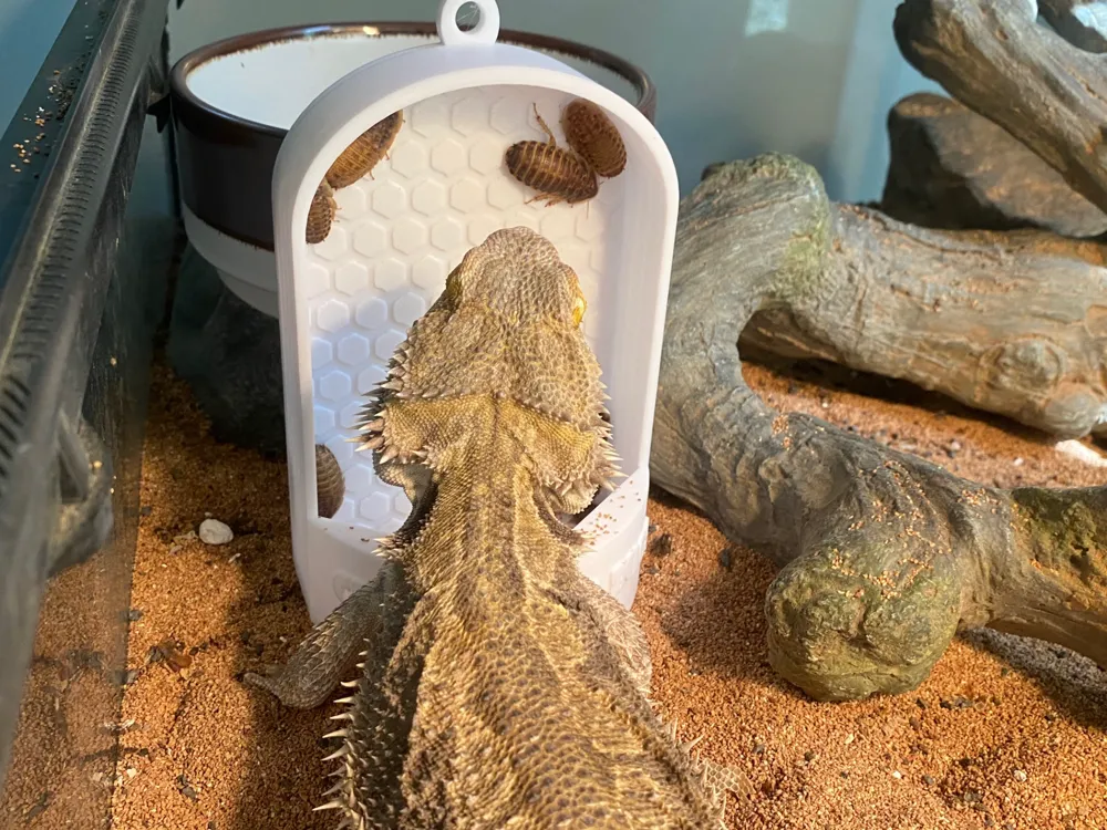 Bug Muncher - Reptile Feeder - Free 3D Print Model - MakerWorld
