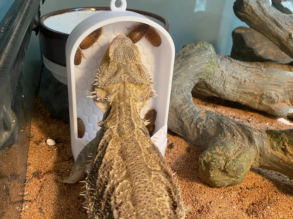 Bug Muncher - Reptile Feeder - Free 3D Print Model - MakerWorld
