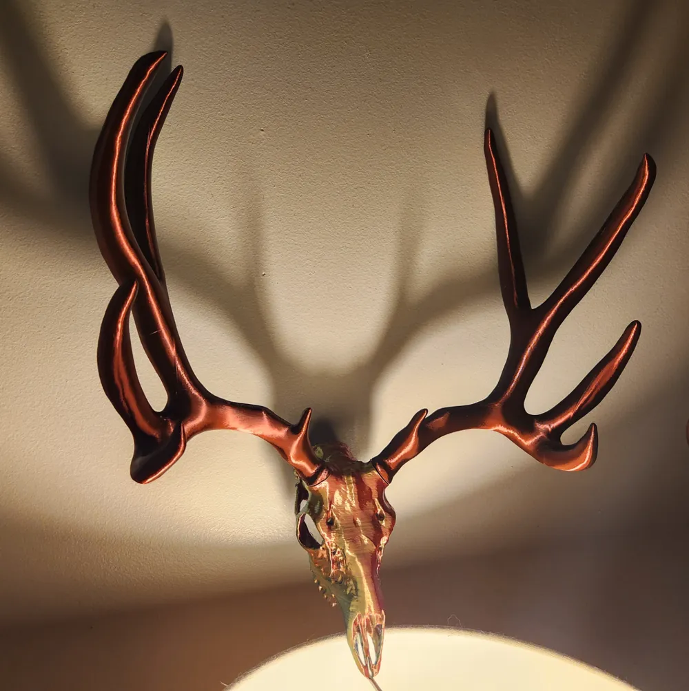 "Big Muley" Mule Deer Skull by dtm247 - MakerWorld