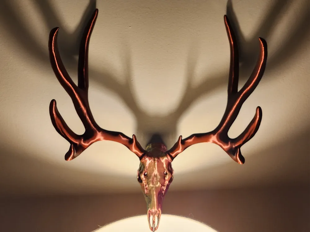 "Big Muley" Mule Deer Skull by dtm247 - MakerWorld
