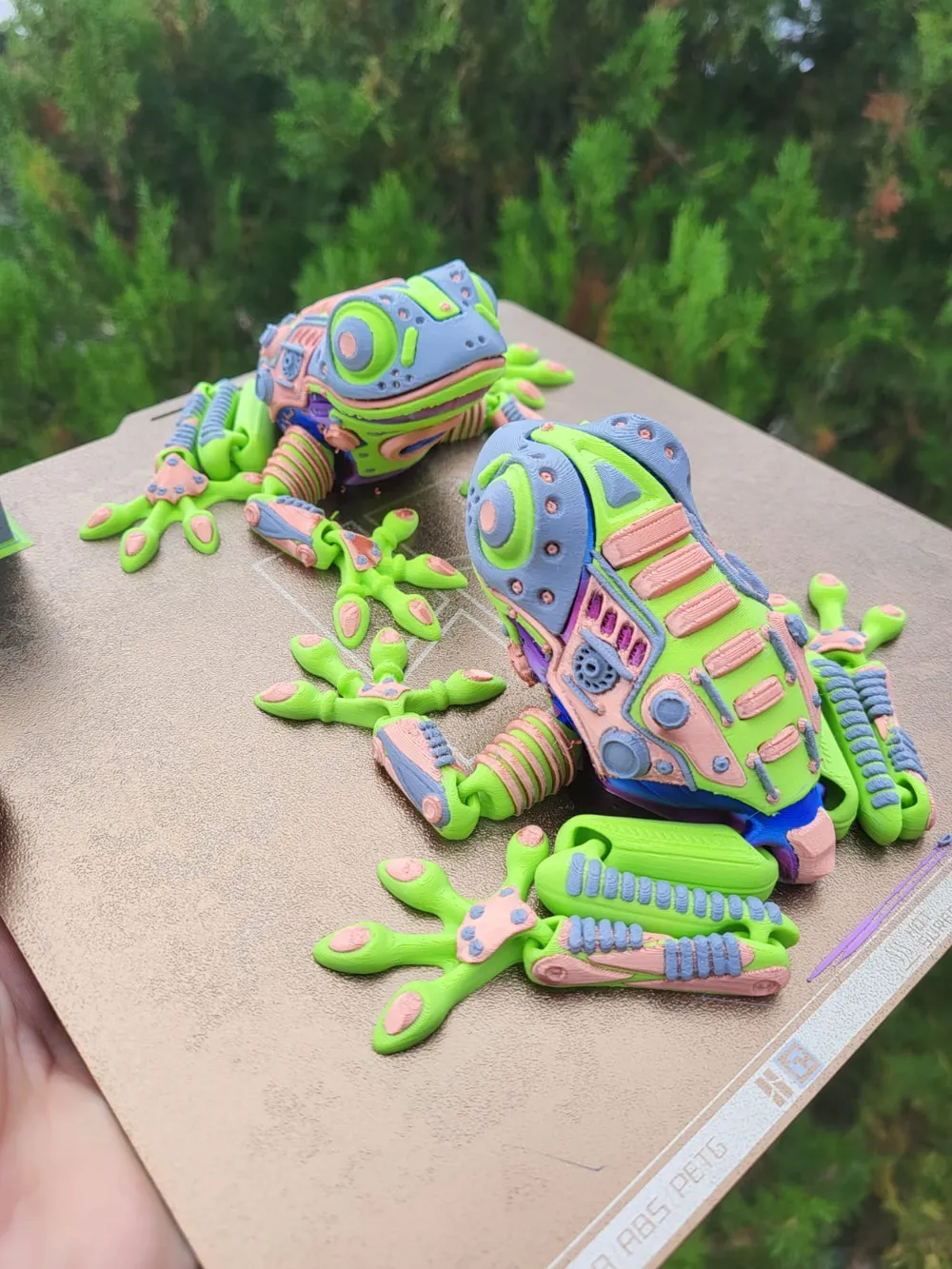 CUTE ARTICULATED FROG - Free 3D Print Model - MakerWorld