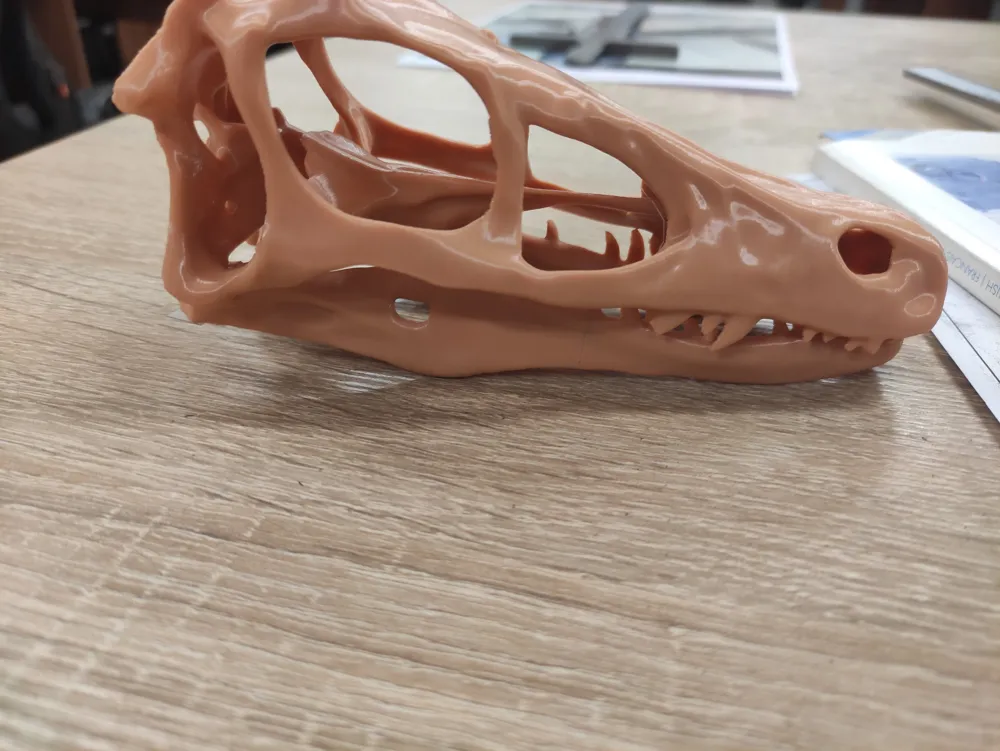 velociraptor skull by Rogue88 MakerWorld: Download Free 3D Models