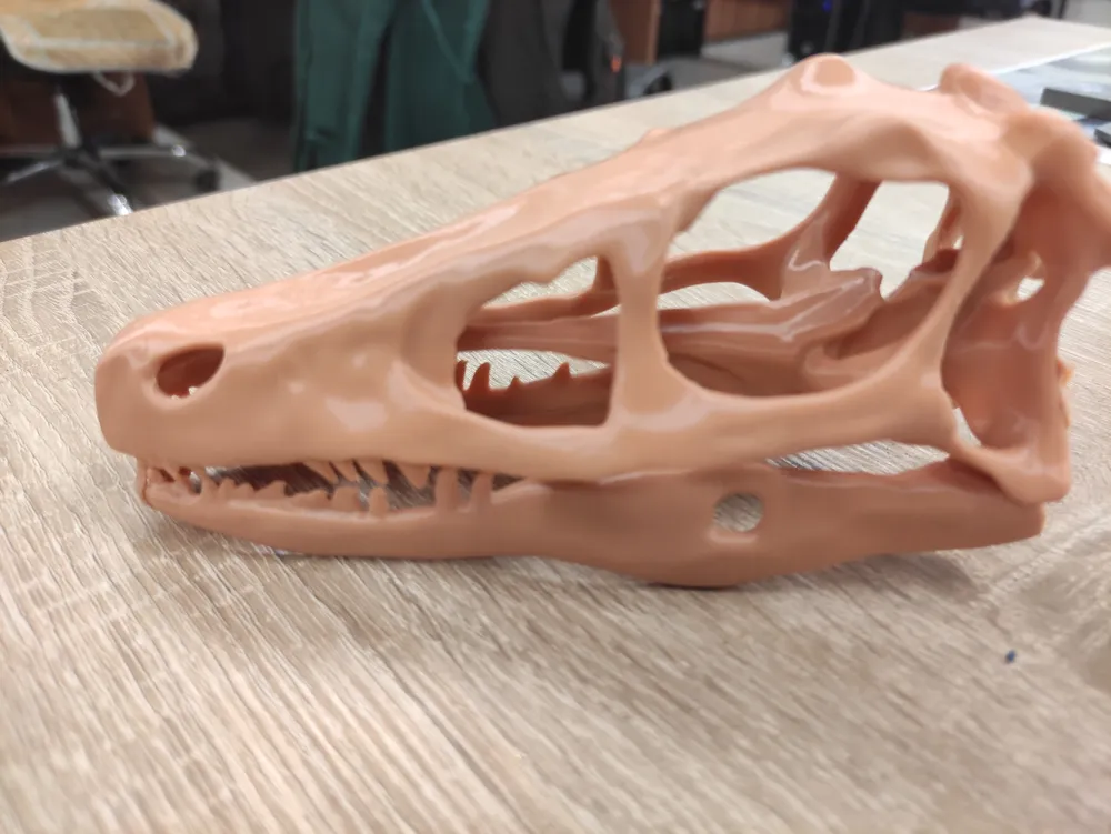velociraptor skull by Rogue88 MakerWorld: Download Free 3D Models