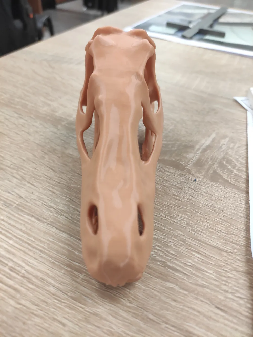 velociraptor skull by Rogue88 MakerWorld: Download Free 3D Models