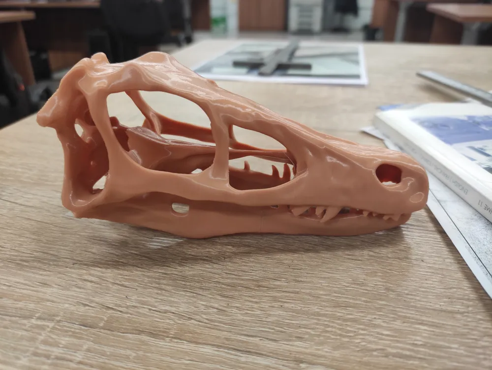velociraptor skull by Rogue88 MakerWorld: Download Free 3D Models