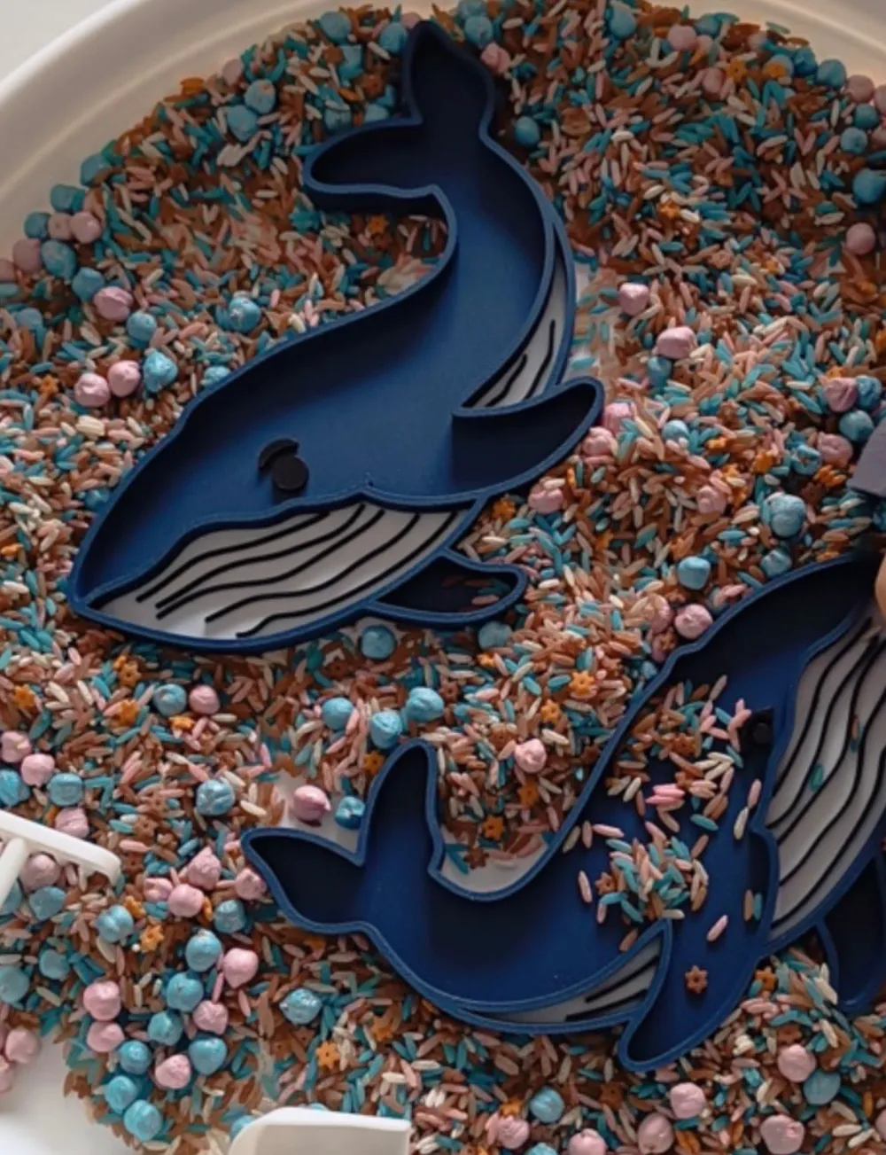 WHALE SENSORY BOARD - Free 3D Print Model - MakerWorld