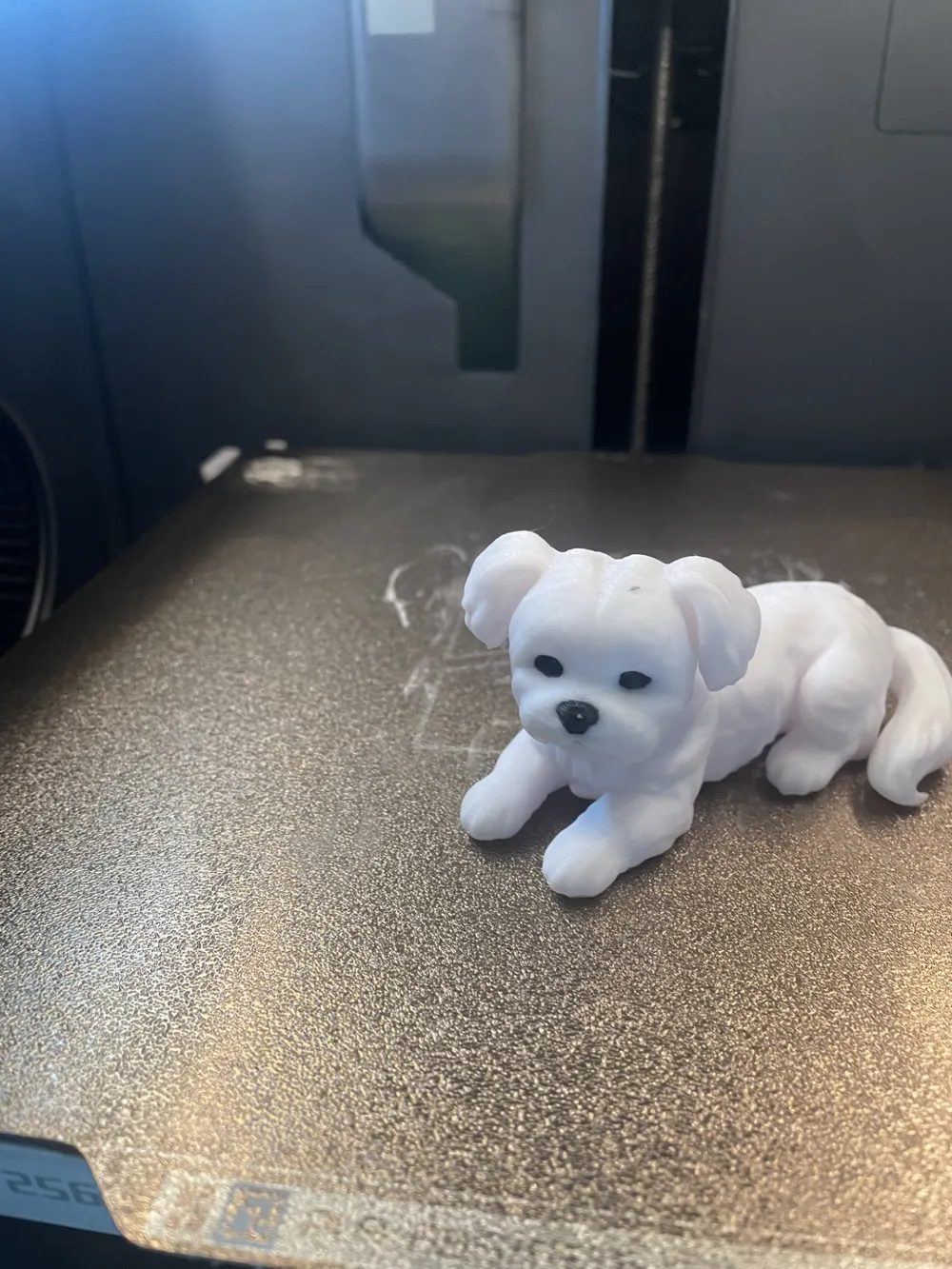 Cute Maltese Dog 3D Model Inspired by My Dog Mille by phc1970 ...