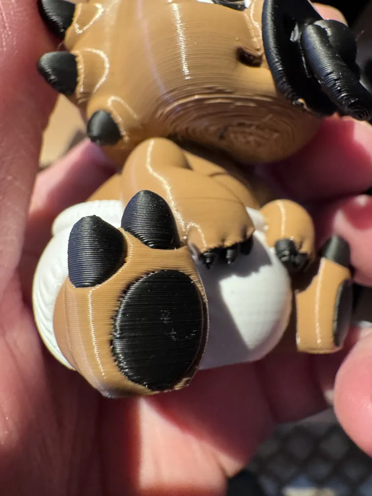 Baby Carnotaurus - Free 3D Print Model - MakerWorld