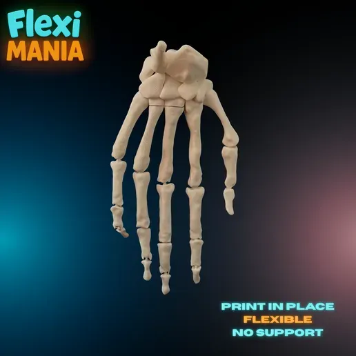 Flexi Human Hand Skeleton - Free 3D Print Model - MakerWorld
