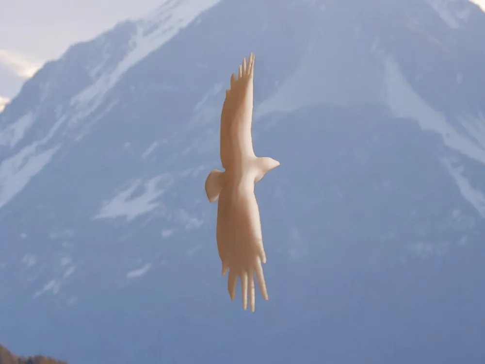 flying eagle by Aemmaker MakerWorld: Download Free 3D Models
