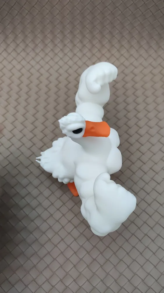 Goose on Steroids - multipart - noAMS - noGlue by RUMcajz MakerWorld ...