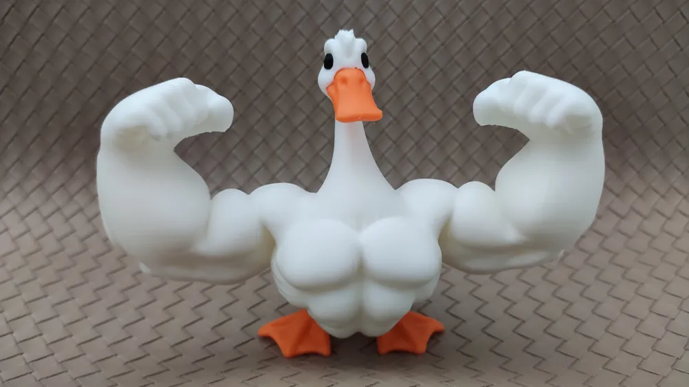Goose on Steroids - multipart - noAMS - noGlue by RUMcajz MakerWorld ...