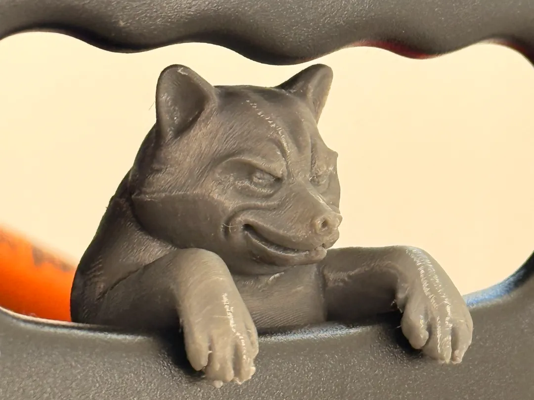 The Cheekily Grinning Raccoon - Chubby Squad Prank - Free 3D Print ...