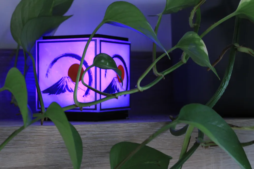 Mini Shoji Art Lamp – Fuji, Kanagawa, Bonsai by Schnitzel - MakerWorld