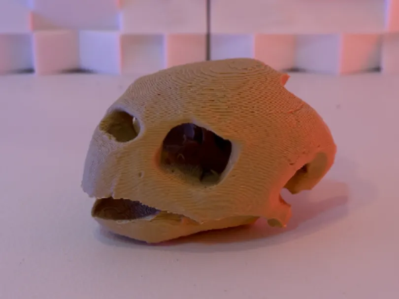 Turtle Skull (10-25 Grams) by Sven MakerWorld: Download Free 3D Models