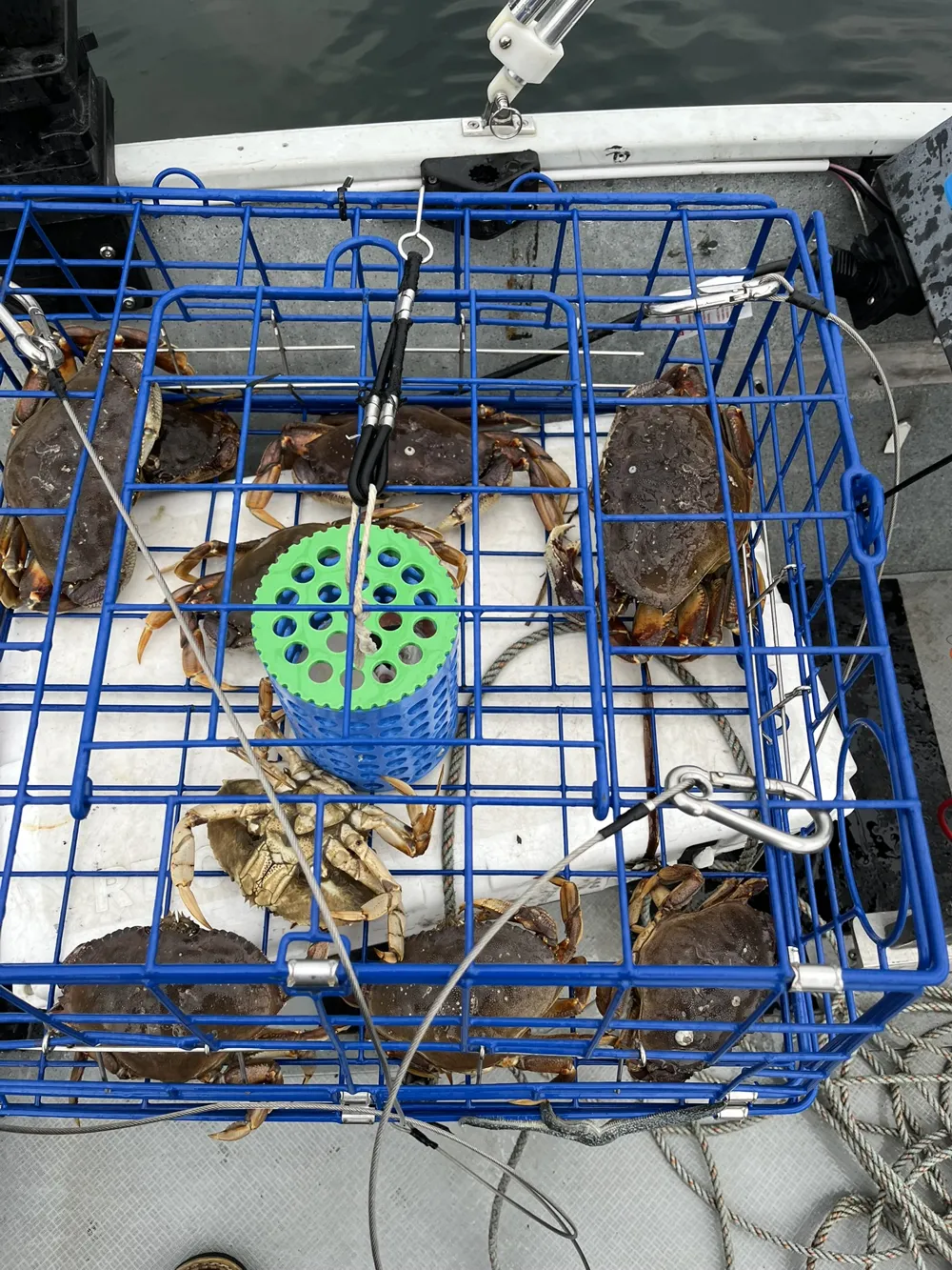 Crab Bait Box - Free 3D Print Model - MakerWorld