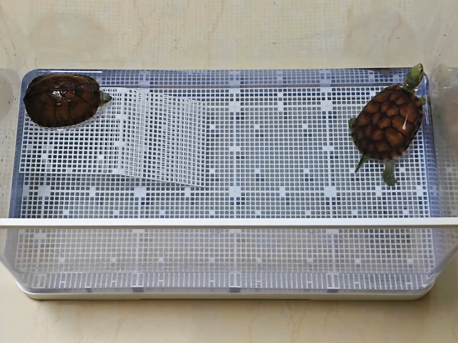 Interlocking grid plates for custom assembly of aquarium or turtle tank ...