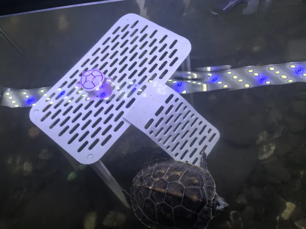 Turtle Router Basking Platform by czq MakerWorld: Download Free 3D Models