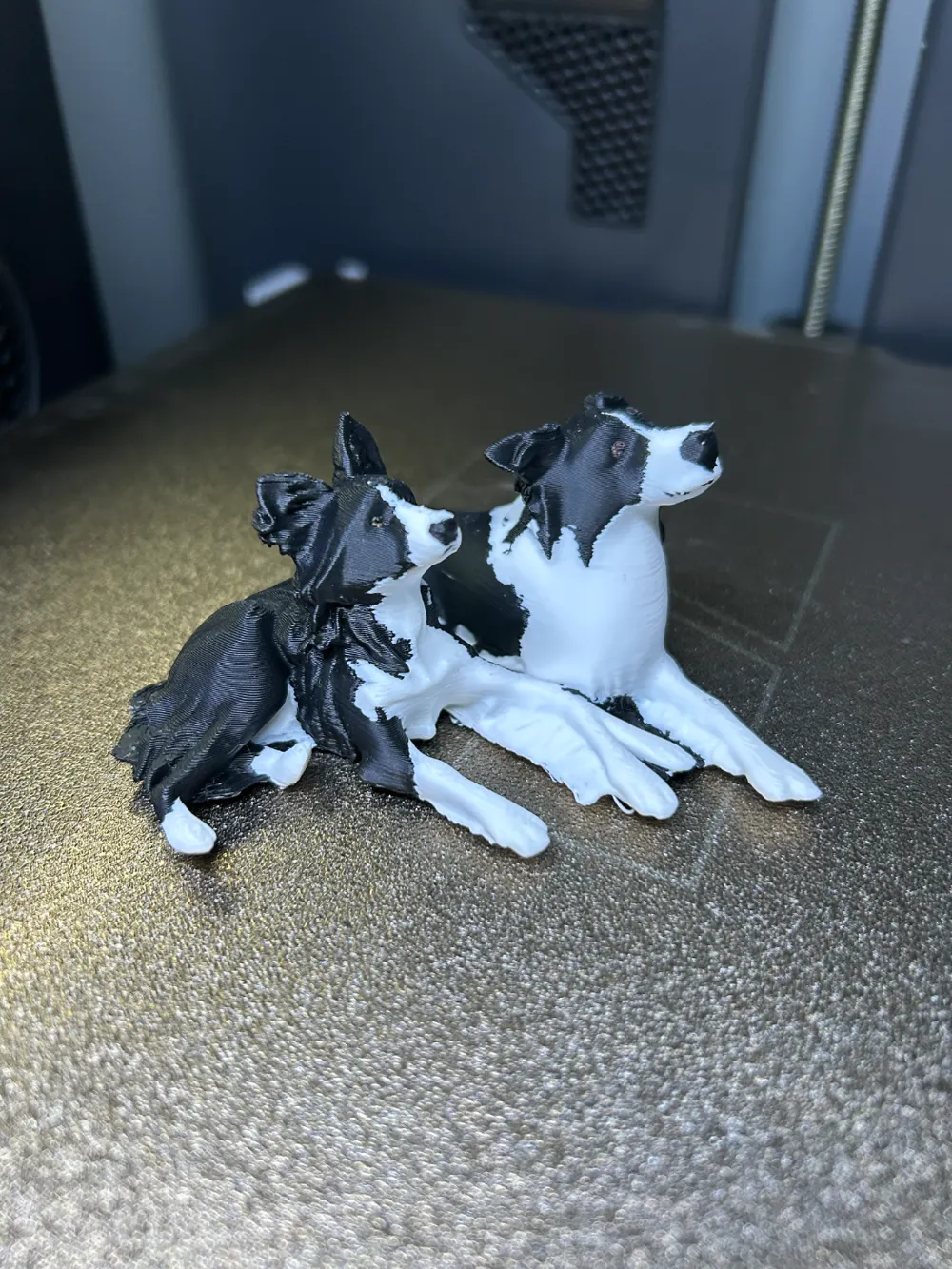 Border Collies (Angel & B.J.) - Free 3D Print Model - MakerWorld