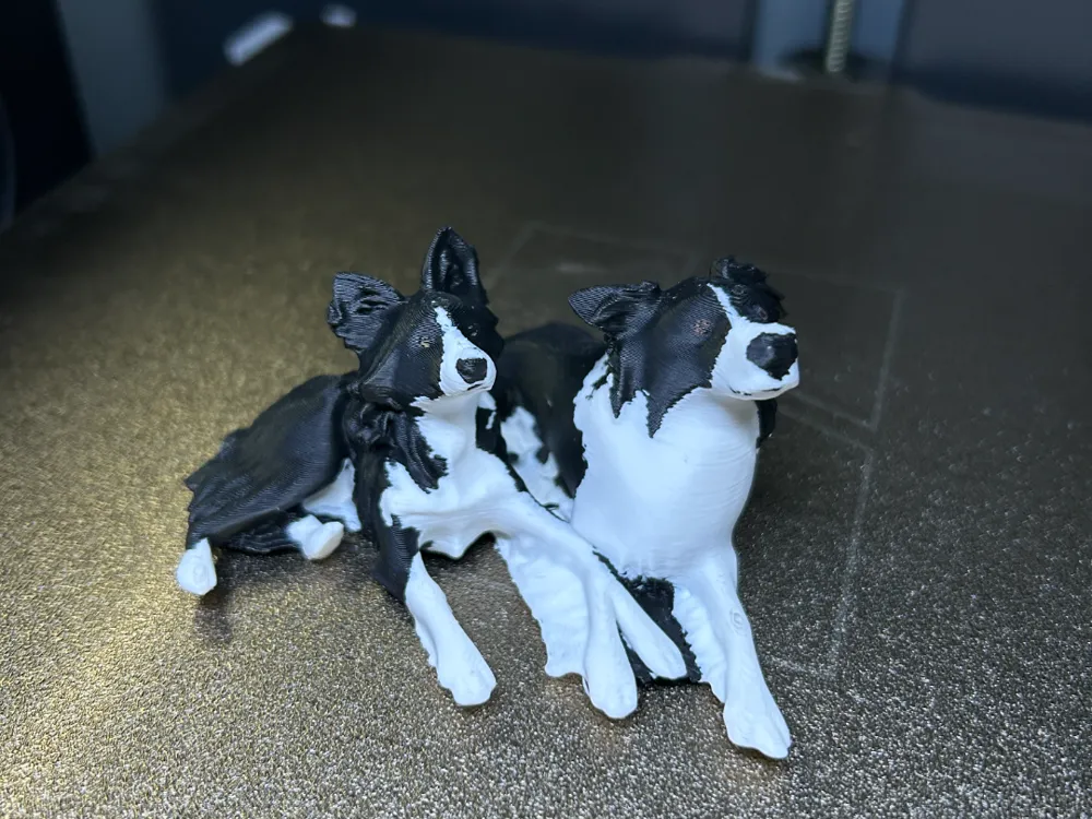 Border Collies (Angel & B.J.) by 3D-SpeciaList MakerWorld: Download ...