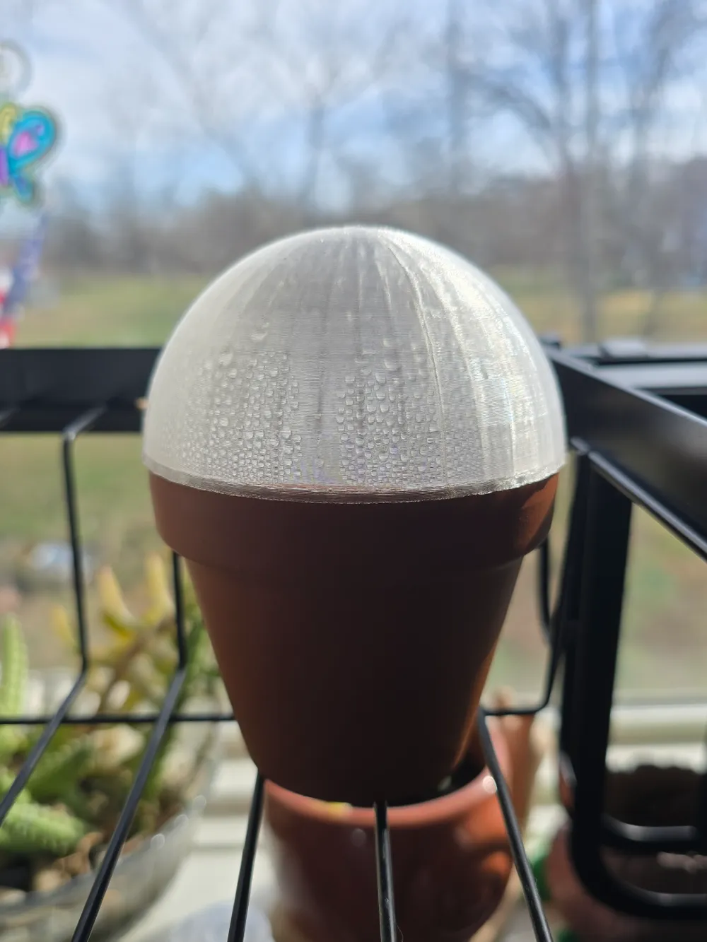 Plant green house dome for 3" Clay Pot by florio72687 - MakerWorld