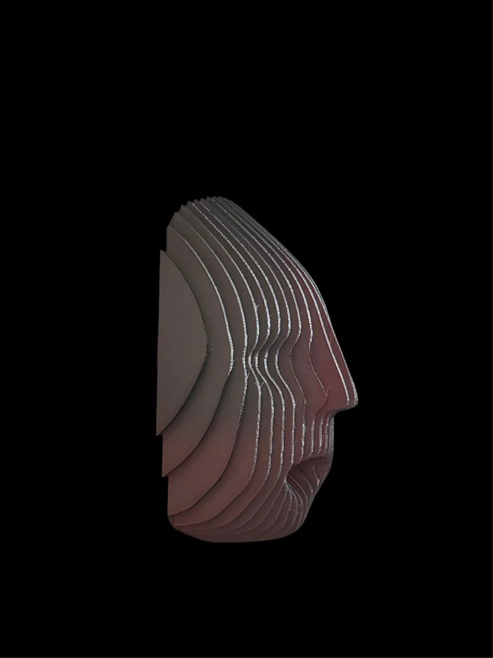 Face Profile Sliced Sculpture by 3D Dream Factory - MakerWorld