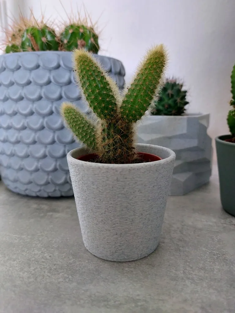 Small Plant Pot by dark_phoenix MakerWorld: Download Free 3D Models