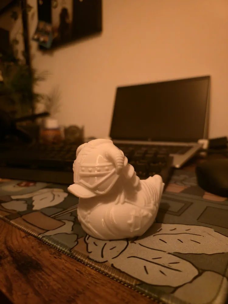 Skyrim Duck Dragonborn Desk Companion by battathenu MakerWorld ...