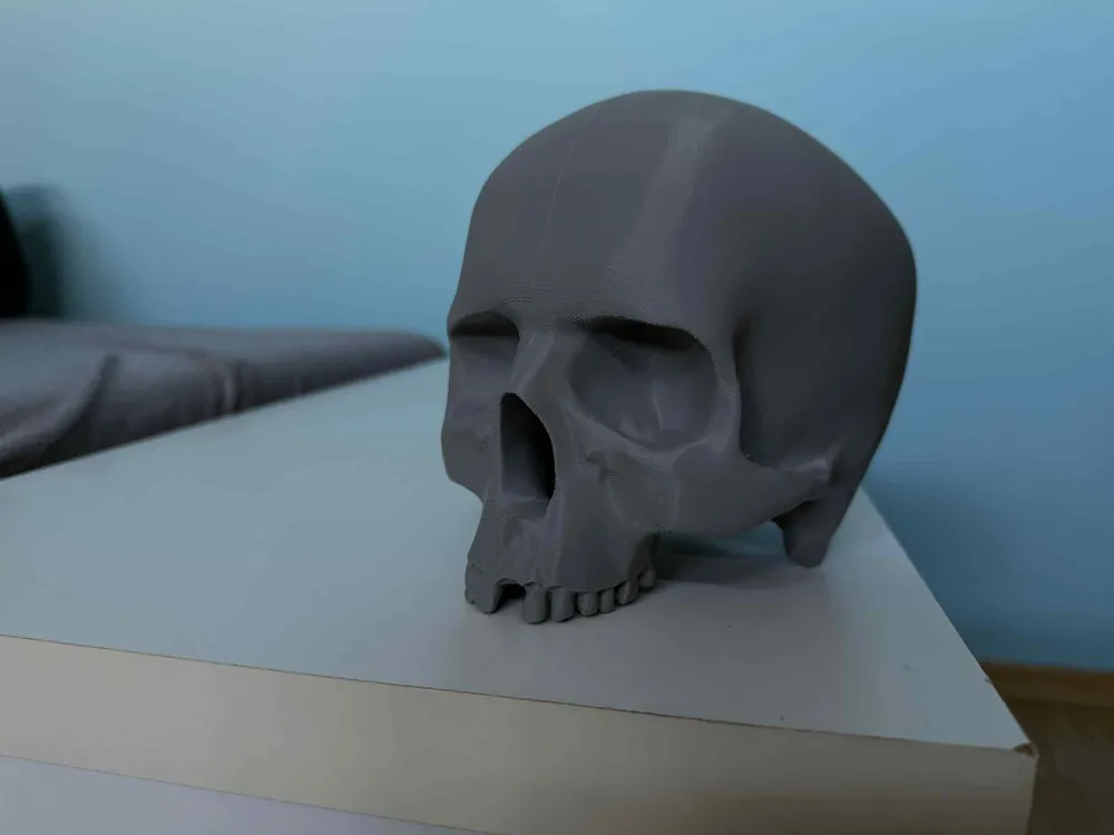 Human Skull - Free 3D Print Model - MakerWorld