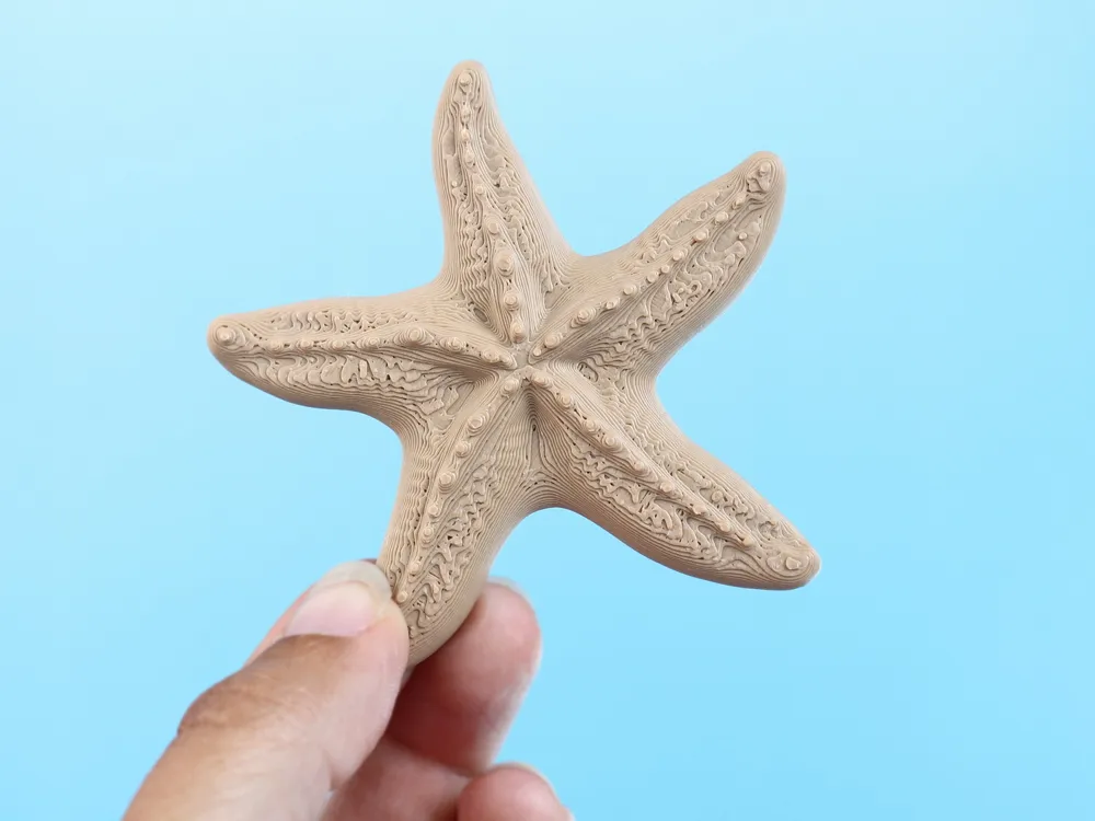 Starfish Decor Set (3 designs) by Crow_ck MakerWorld: Download Free 3D Models