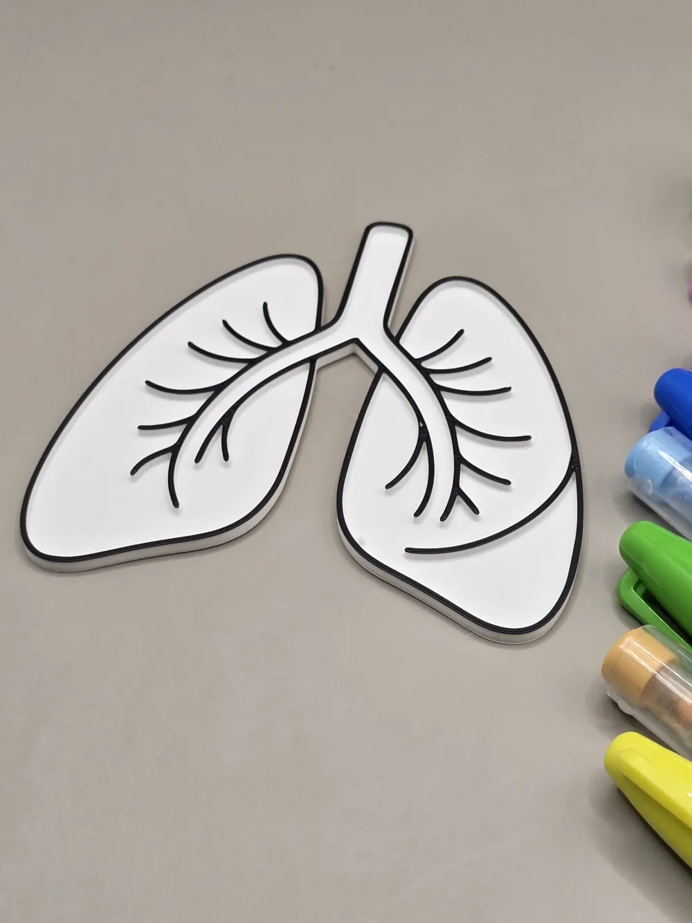 Lungs Coloring Craft Anatomy Panel - Free 3D Print Model - MakerWorld