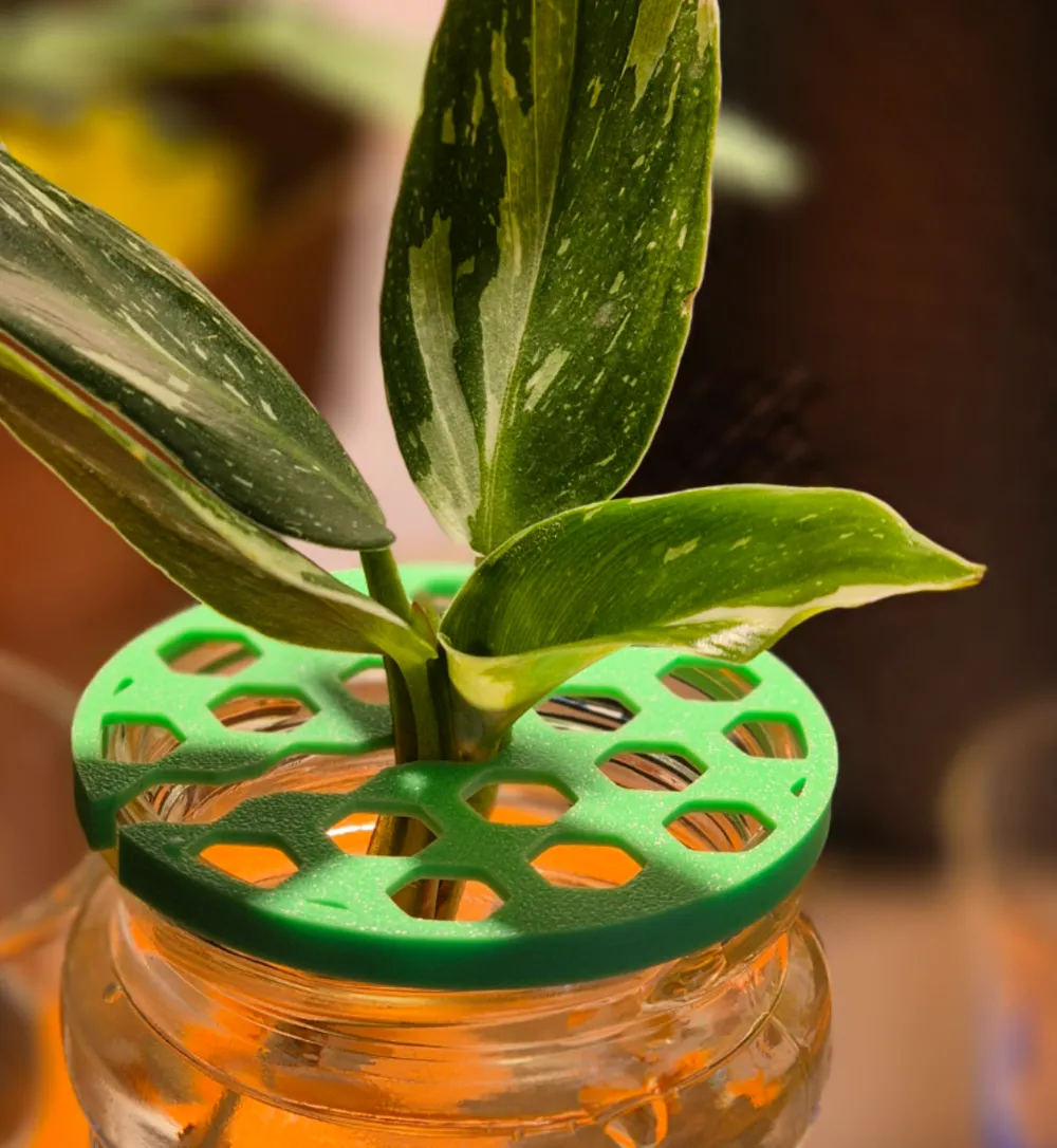 Plant Cutting Helper by Olaf-3D - MakerWorld