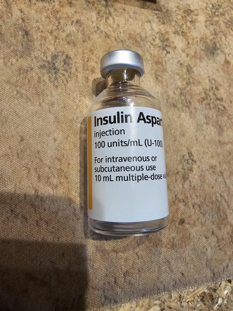 Insulin Vial Bottle Holder Easy and Simple - Free 3D Print Model ...