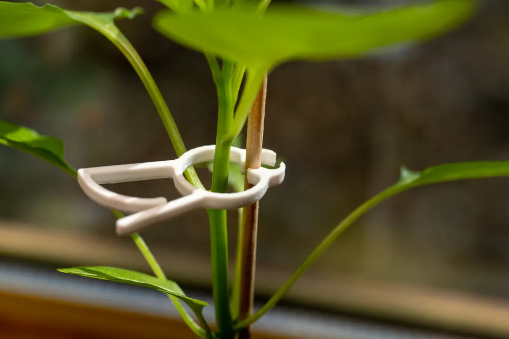 Spring-Loaded Plant Clip by Timo MakerWorld: Download Free 3D Models
