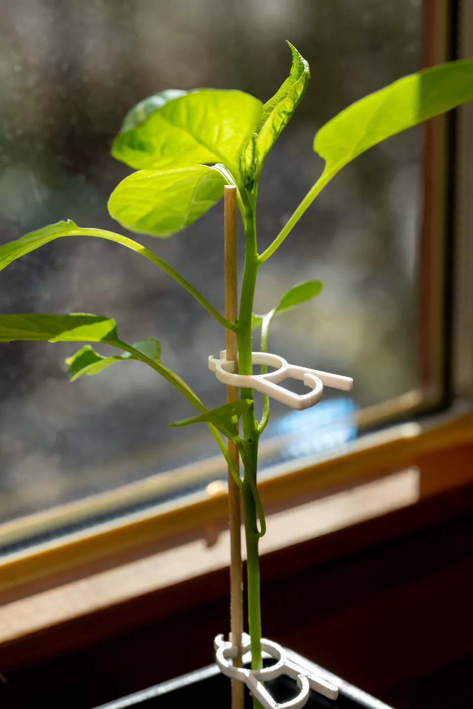Spring-Loaded Plant Clip by Timo - MakerWorld