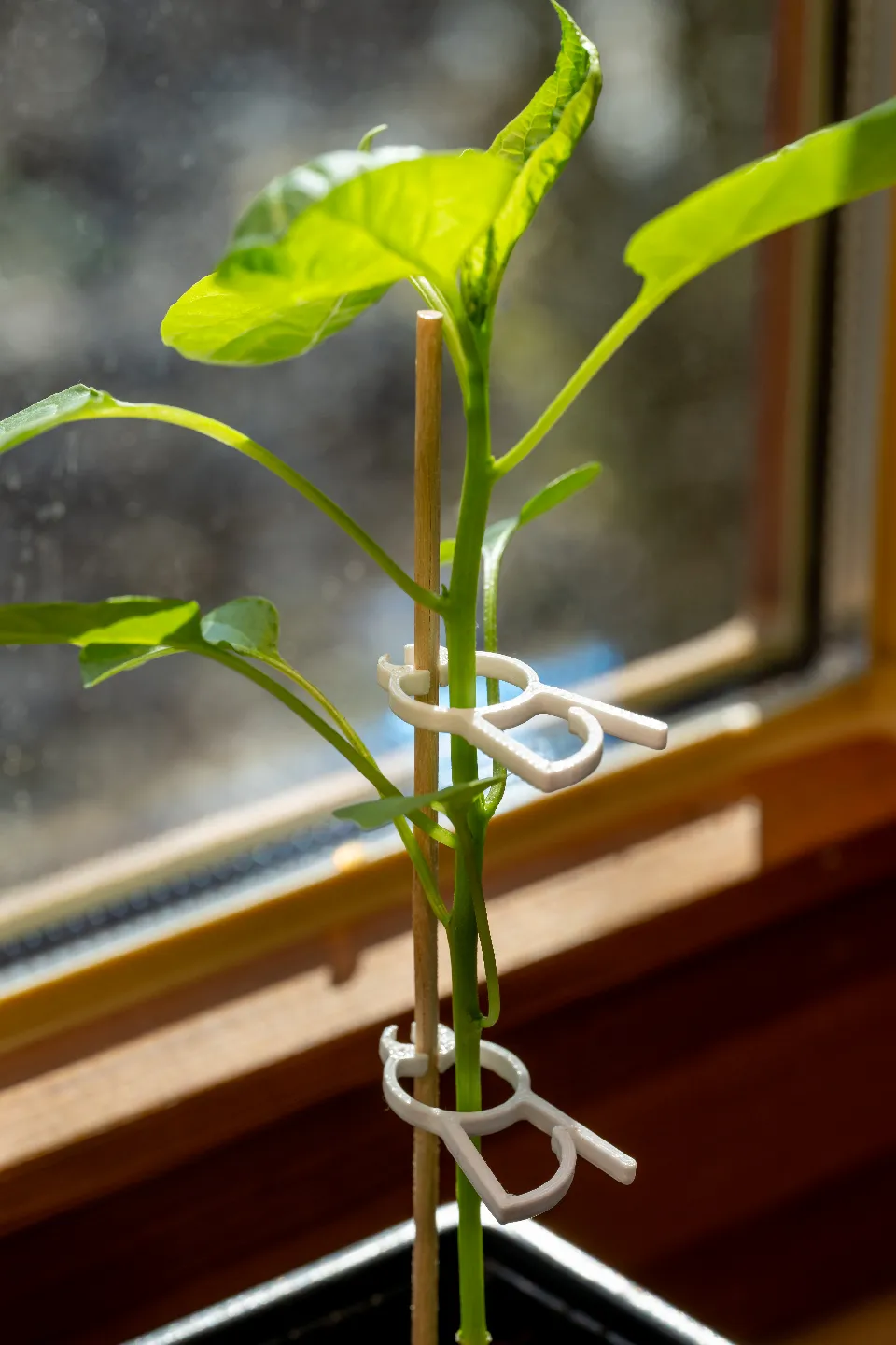 Spring-Loaded Plant Clip by Timo MakerWorld: Download Free 3D Models