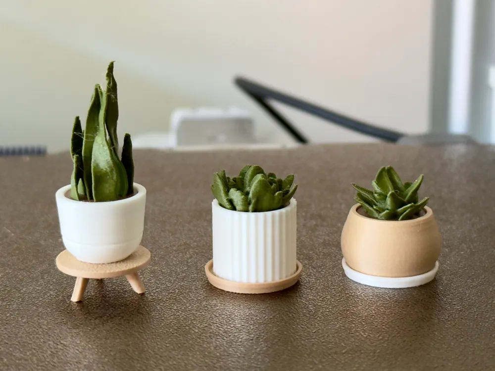 Plant Magnets (no AMS) - Free 3D Print Model - MakerWorld