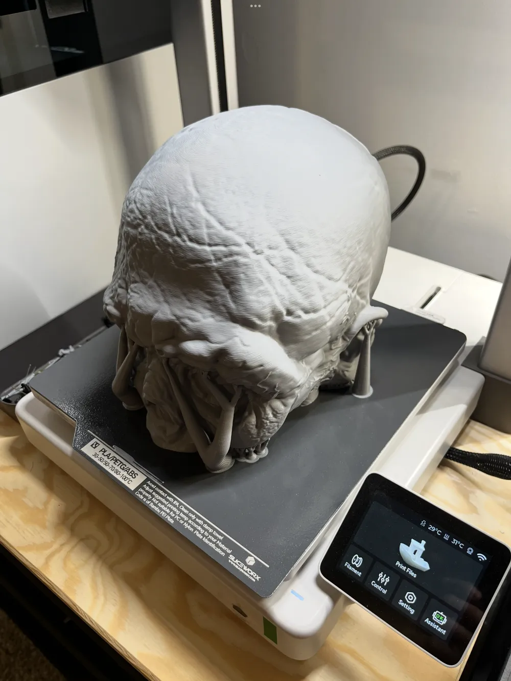 Life size Zombie head by DeKorverArt MakerWorld: Download Free 3D Models