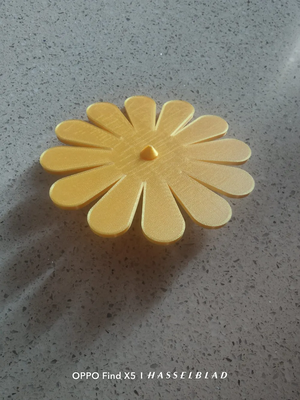 Daisy he loves me he loves me not spinning top game - Free 3D Print ...