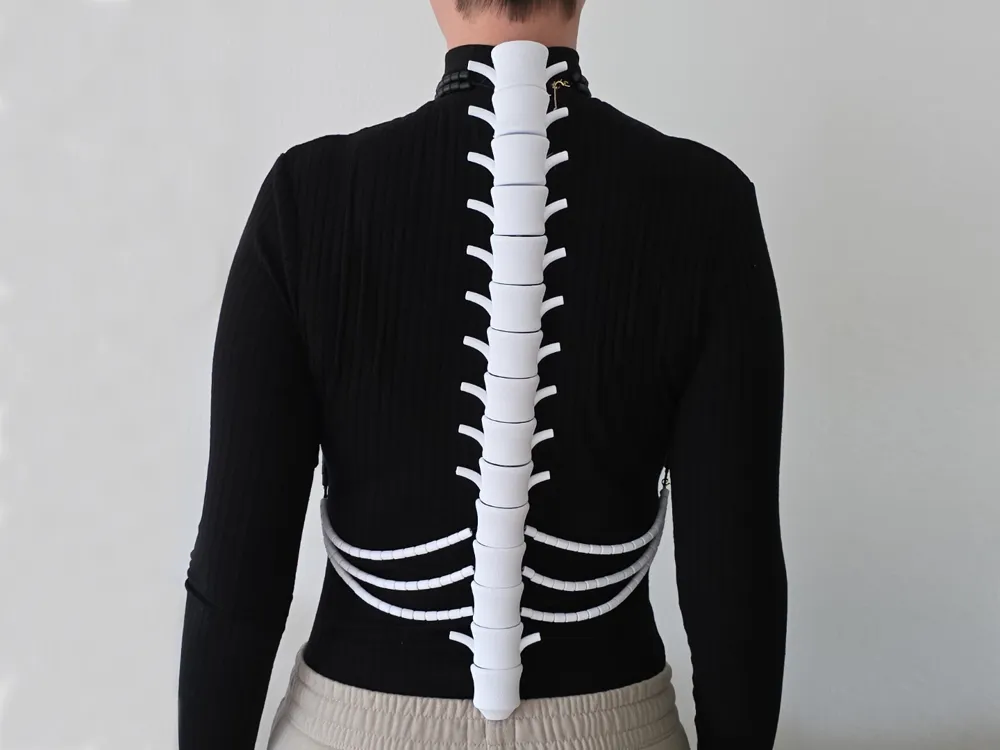 Skeleton Ribcage Corset | Halloween Costume - Free 3D Print Model ...