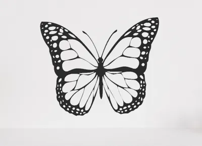 2D Butterfly Wall Art by angry-p1p - MakerWorld