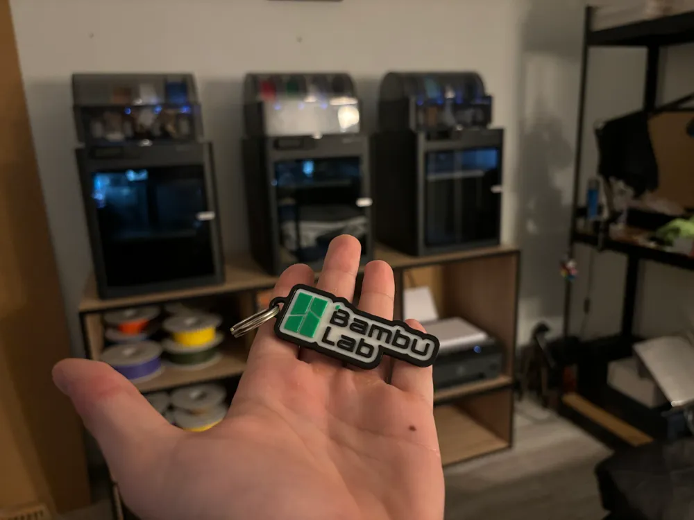 Bambu Lab Keychain by Vismond - MakerWorld