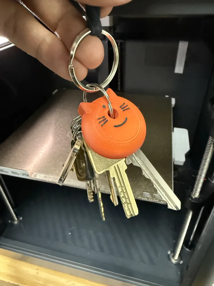 Stupid Cat Key Cover by TakeTheATrain MakerWorld: Download Free 3D Models