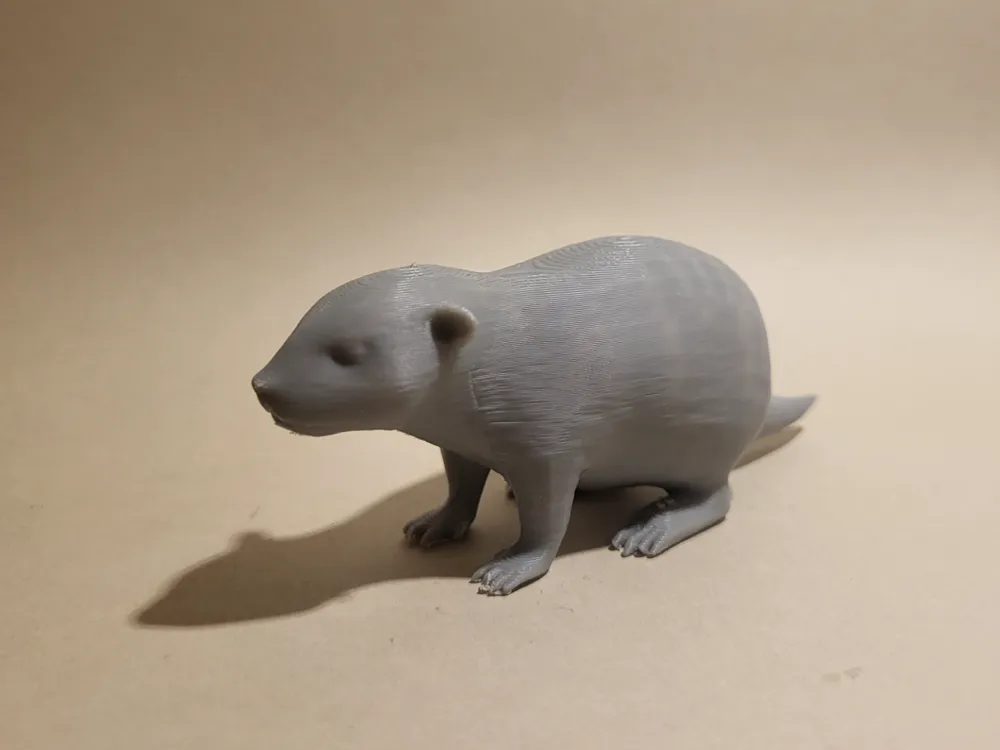 Groundhog by BD Printing - MakerWorld