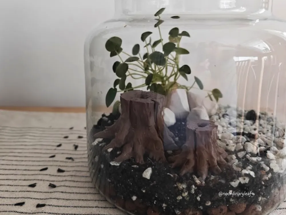 Terrarium decorations - Free 3D Print Model - MakerWorld