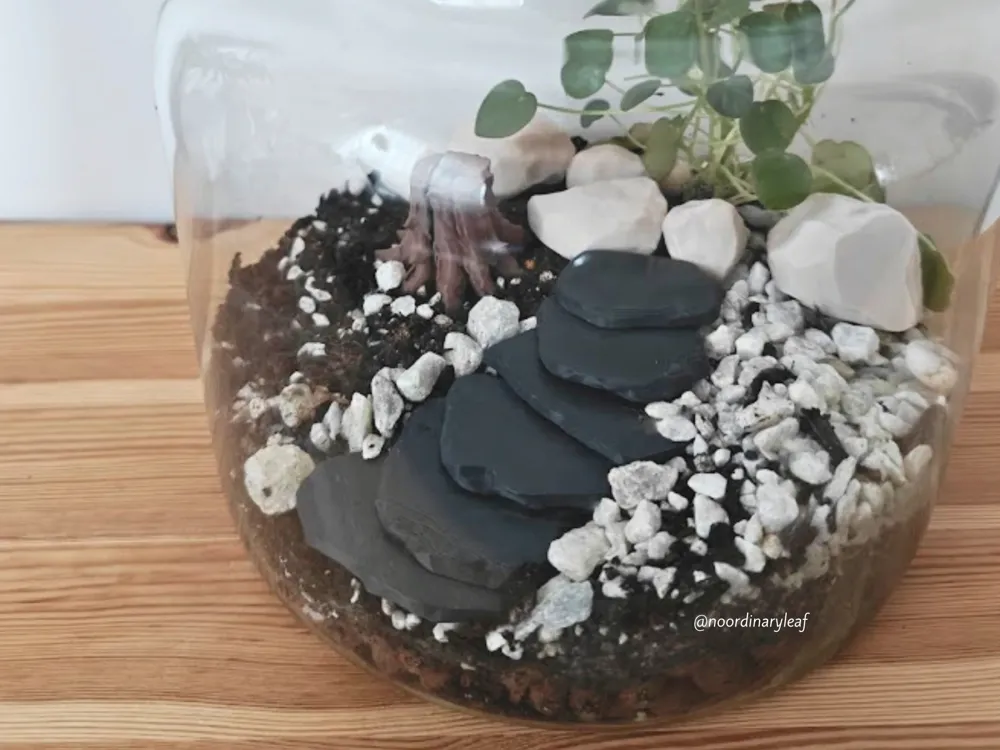 Terrarium decorations - Free 3D Print Model - MakerWorld