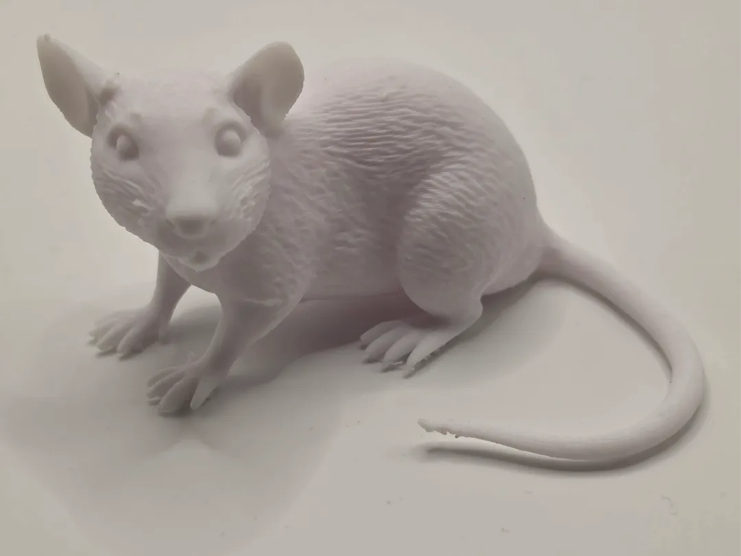 Realistic Rat – Detailed Rodent Model - Free 3D Print Model - MakerWorld