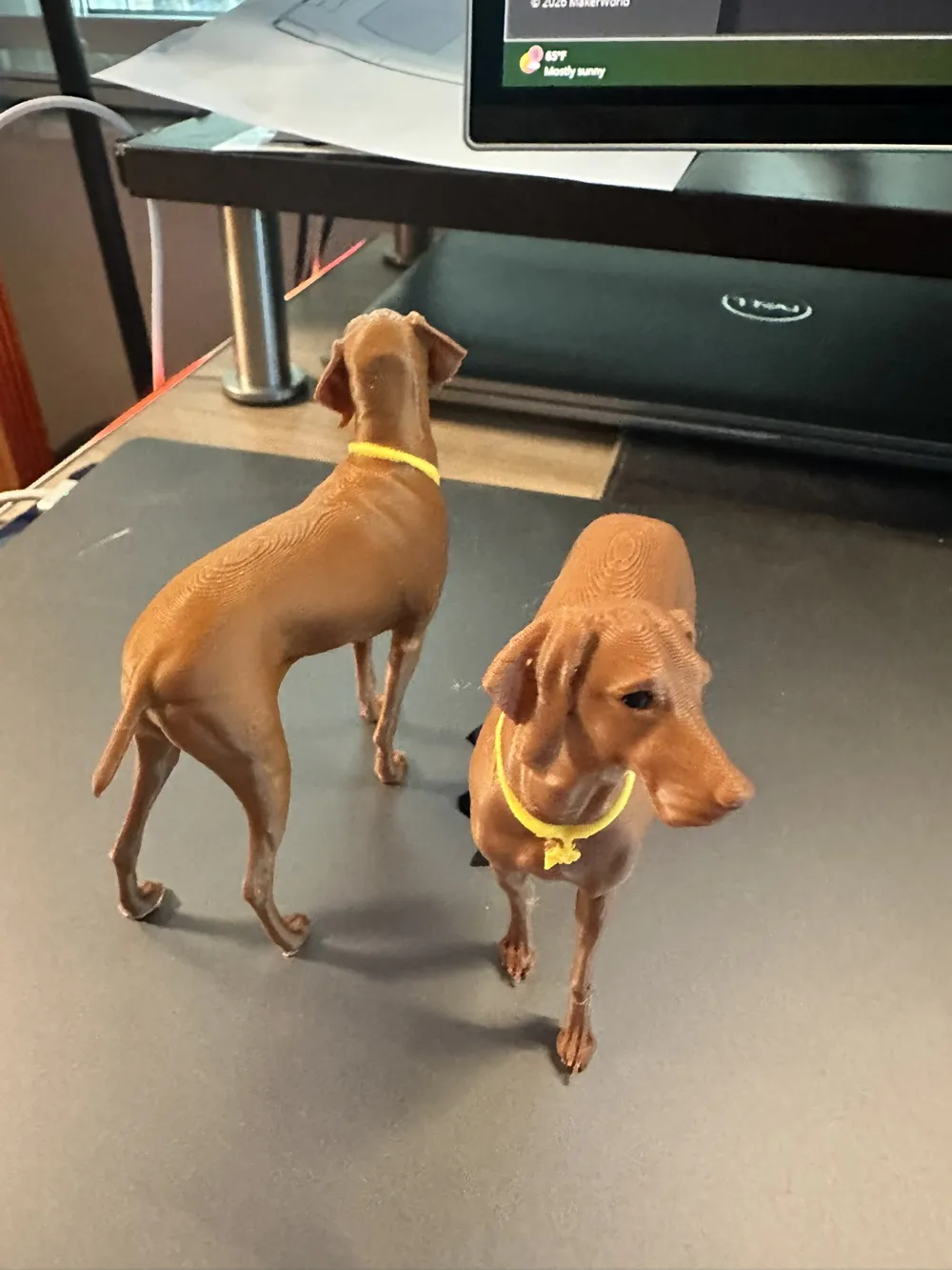 Vizsla Female Standing Stella - Free 3D Print Model - MakerWorld