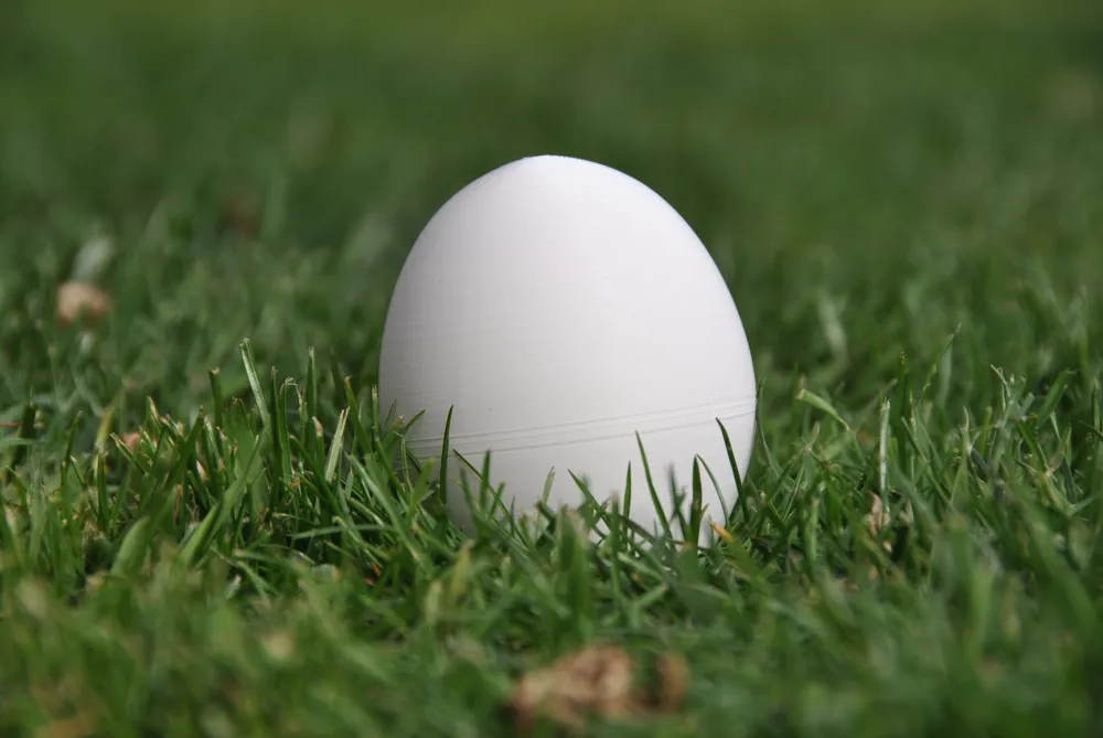 Hidden Compartment Easter Egg–Perfect for Egg Hunt - Free 3D Print ...