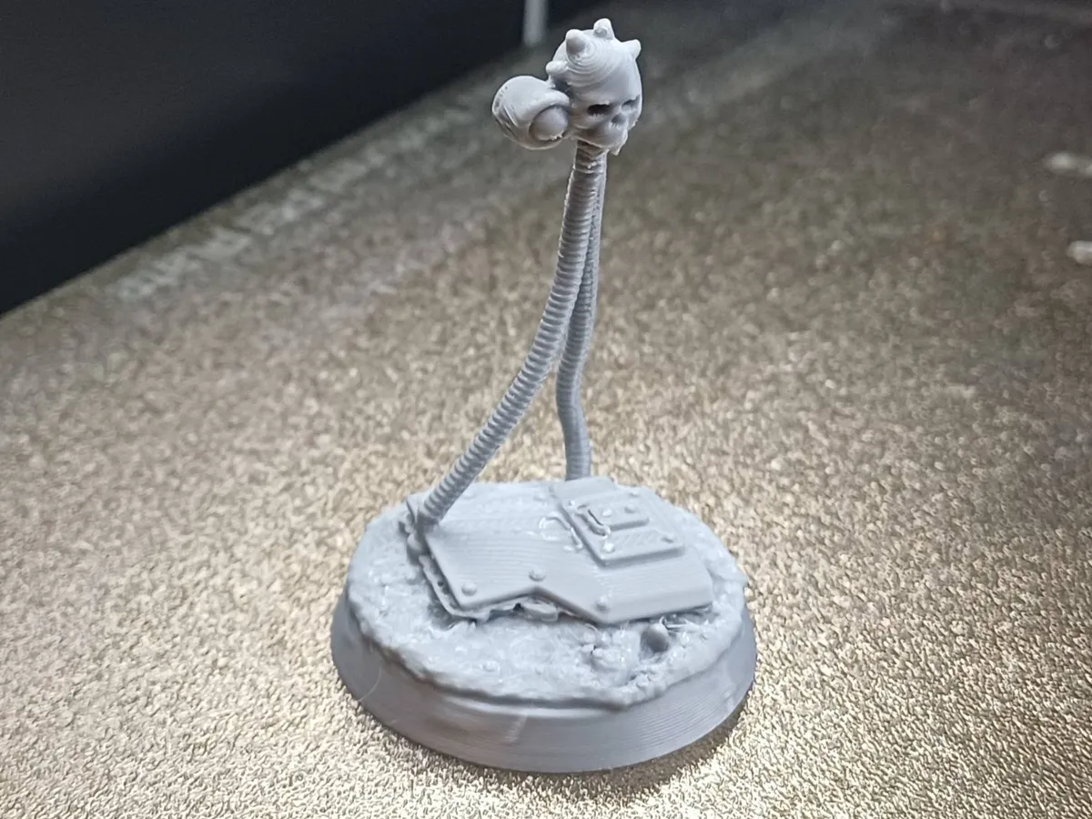 Scanning skull 1 - Free 3D Print Model - MakerWorld